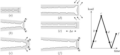Schematic Presentation Of Crack Tip Plastic Blunting And Sharpening