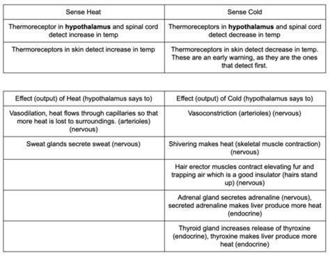 Fichas De Aprendizaje Chapter 14 Homeostasis Quizlet