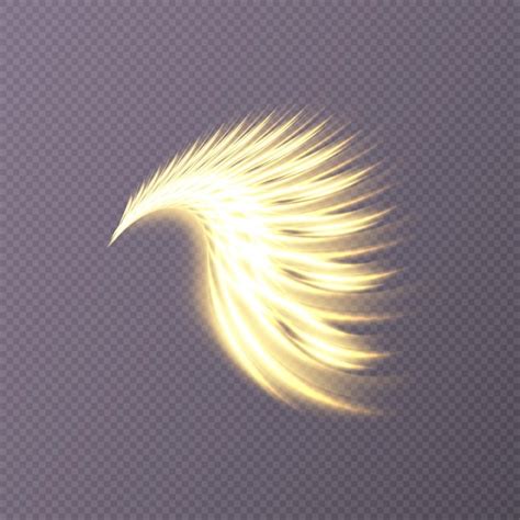 추상 빛 곡선 모양 피닉스 날개 조명 효과 스타일 Png 그림은 그래픽 디자인에 사용할 수 있습니다 프리미엄 벡터