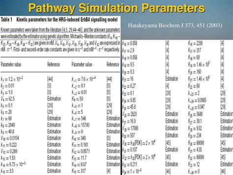Ppt Content Example Of Pathway Simulation Work And Map Pathway Simulation Model And Equations