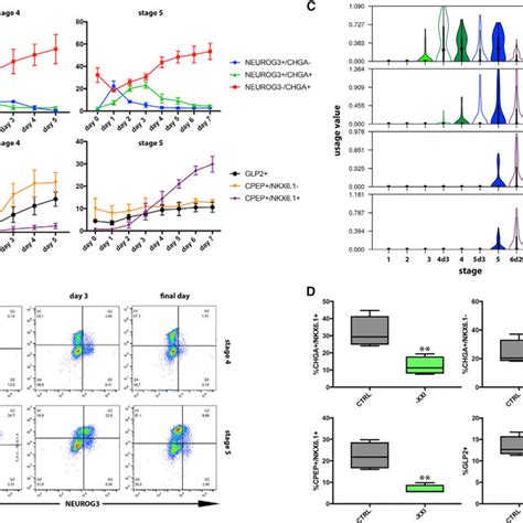 Stages 4 And 5 Produce Different Endocrine Cell Types A Daily Flow