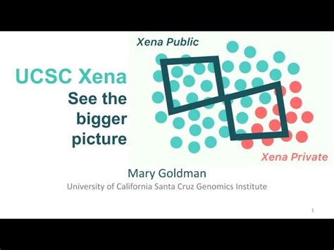 Harnessing The Power Of R For Cancer Genomics Data Analysis A Deep