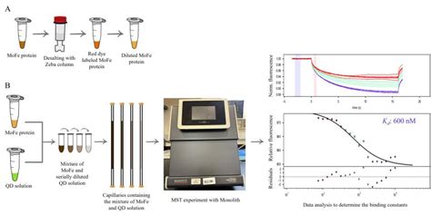 Bio Protocol On Linkedin Reproducibility Lifesciences Biophysics