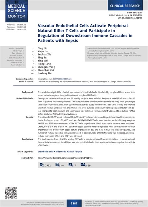 PDF Vascular Endothelial Cells Activate Peripheral Natural Killer T Cells And Participate In
