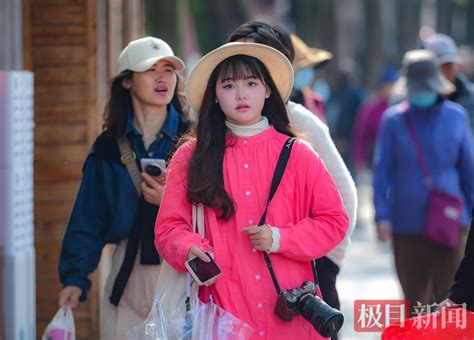 武汉东湖樱花园 雨后初晴人气爆棚凤凰网湖北凤凰网