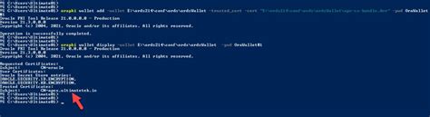 File Not Uploading To Google Drive Using Kehinde Adeyemi S Oracle APEX Plugins In My Apex