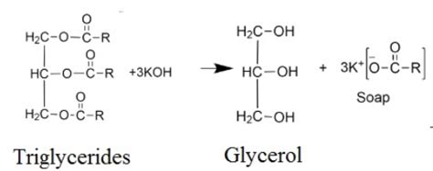 The Alkaline Hydrolysis Of Oil Or Fat Gives Soap And A GlycerolB