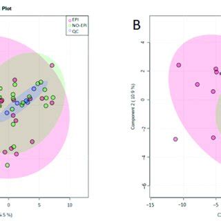 A Principal Component Analysis Score Plot B Partial Least