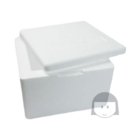 Kioskana Styrofoam Box 1 Pc For Shipping Fresh And Frozen Items Medium Not To Be Sold
