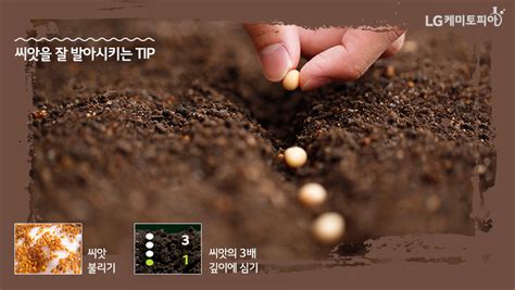I Am A Farmer 1번째 마당 씨앗과 모종으로 시작하는 도시농부의 첫걸음