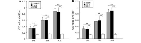 Serum Igg In Mice Six Week Old Balb C Mice Were Vaccinated Via