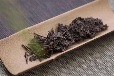 收藏老黑茶，只有行家才懂的秘密！