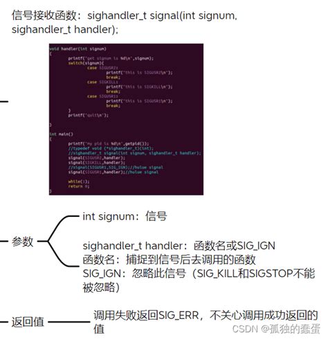 Linux进程间通信linux进程通信 Csdn博客