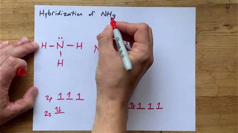 Hybridization Of Nh3 Ammonia Youtube