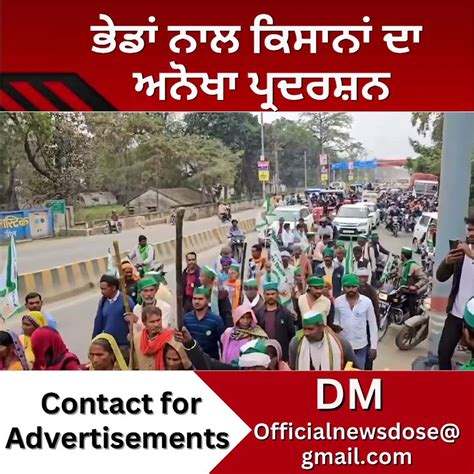 Farmer Protest ਭੇਡਾਂ ਨੂੰ ਅੱਗੇ ਲਾ ਕਿਸਾਨਾਂ ਨੇ ਕੱਢਿਆ ਟਰੈਕਟਰ ਮਾਰਚ Youtube
