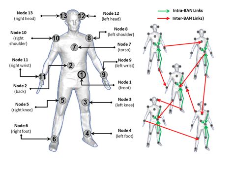 Intra Ban And Inter Ban Networks And Interference Scenarios Download Scientific Diagram