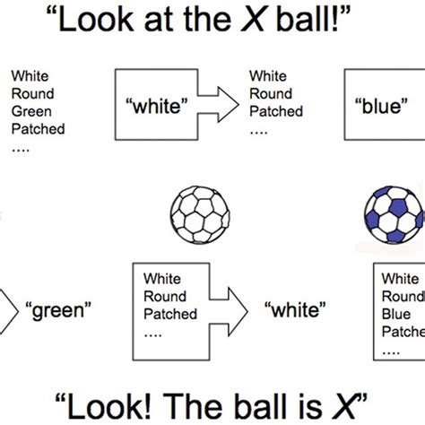 linguistic sequence determines learning sequence learning can be