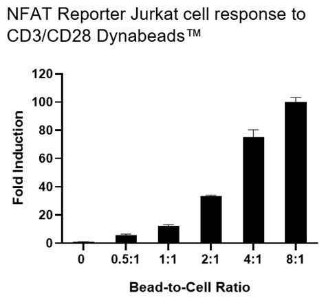 NFAT Reporter Luc Jurkat Recombinant Cell Line