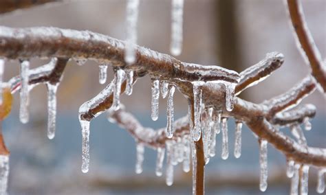Are You Prepared For The Freezing Temperatures City Of Bryan Texas