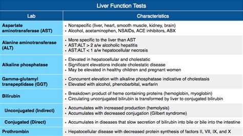Liver Function Test Normal Range Pippa Lawrence