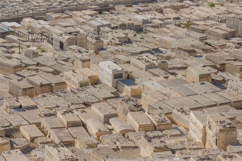 5 Things To Know About The Gihon Spring City Of David