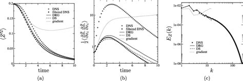 Comparison Of Decaying Homogeneous Isotropic Turbulence Statistics