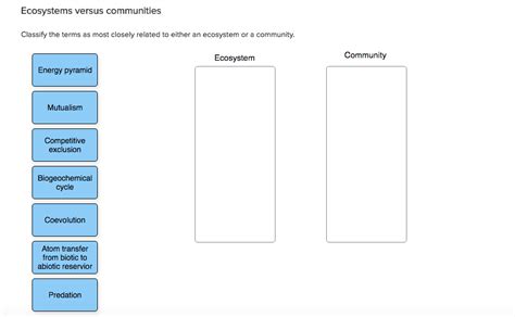 solved classify the terms as most closely related to either