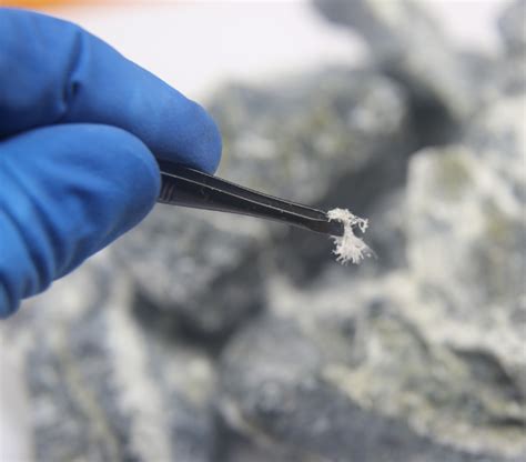 Asbestos Sampling Tandt Ohs