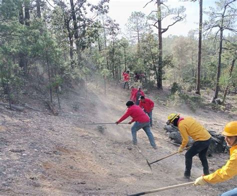 Refuerzan Acciones De Prevención De Incendios Forestales El Bordo