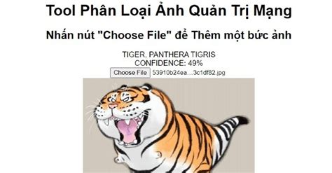 Hướng dẫn tạo công cụ phân loại ảnh với ml5 js và HTML QuanTriMang