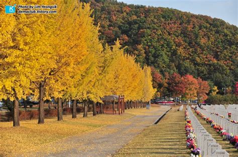 임영식기자의 국방군사사진 호국공원 대전 국립현충원의 가을