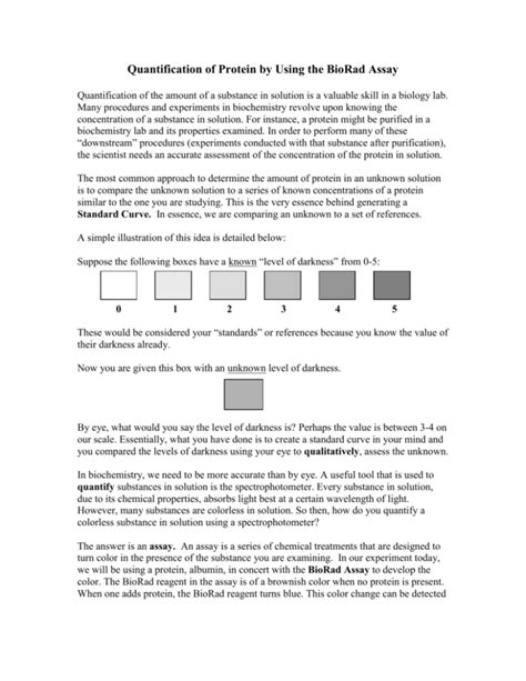 Protein Quantification