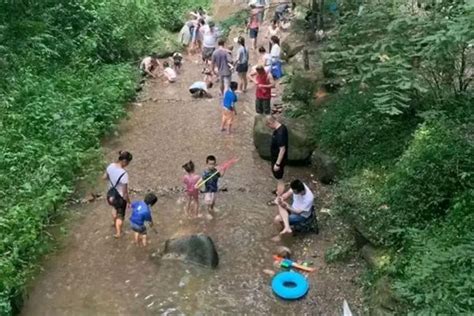 总有刁民想害朕是什么梗御宅社