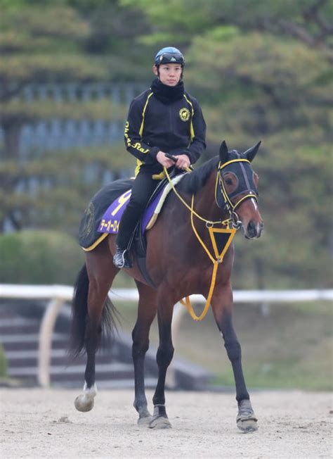 【天皇賞・春】テーオーロイヤル悲願g1制覇へ順調「カイバも食べているし幅が出て馬体も成長」 競馬 日刊スポーツ