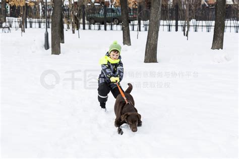 公园高清图片入学年龄的孩子与狗的在冬天公园我和我最好的朋友人像图片免费下载格式5760像素编号39400684 千图网