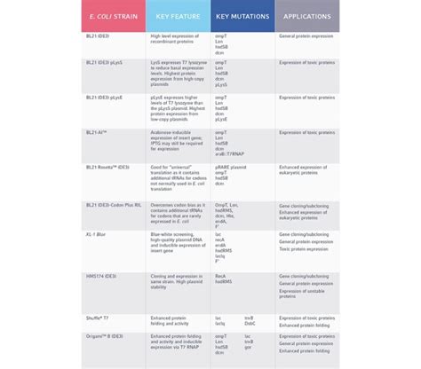 How To Select An E Coli Strain Eppendorf Us