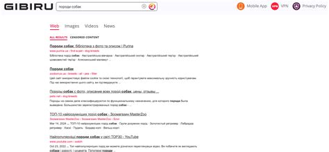 15 лучших поисковых систем в 2024 году • Блог Hostpro
