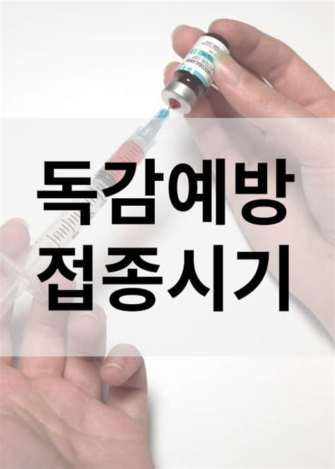 무료 독감예방접종시기 독감예방법 인플루엔자 국가예방접종 지원사업