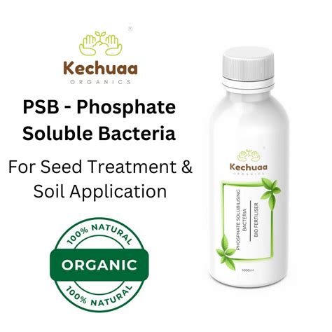 Phosphate Solubilizing Bacteria Liquid Packaging Type Bottle At ₹ 296 Kg In Jabalpur