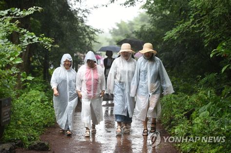 우중 산책 연합뉴스