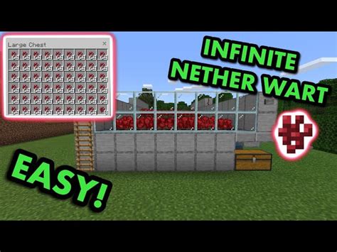 Top Best Things About The Nether In Minecraft