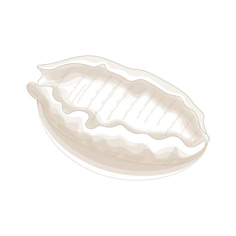 Premium Vector Vector Illustration Logo Simple Line Art Abalone
