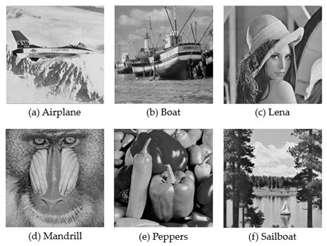 High Payload Data Hiding Method For Ambtc Decompressed Images