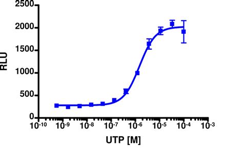 Pathhunter® P2ry4 Activated Gpcr Internalization U2os Cell Line Discoverx