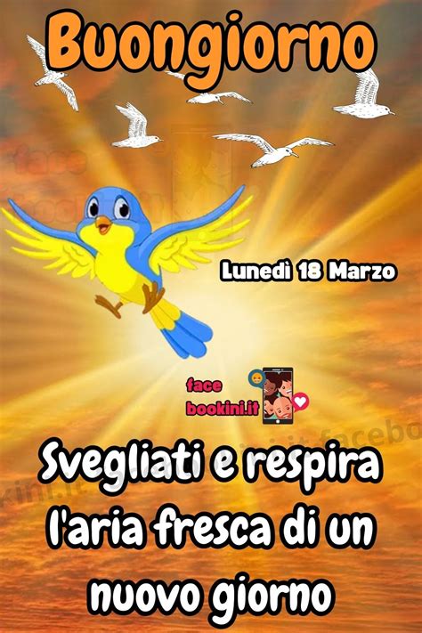 Buongiorno Lunedì 18 Marzo Svegliati e Respira lAria Fresca di un