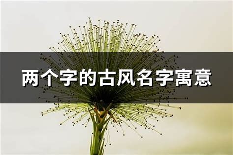 两个字的古风名字寓意 精选242个 淘名吧网