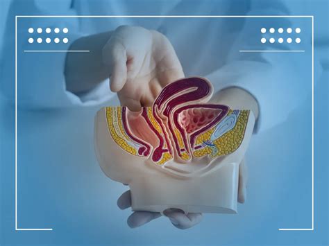 Bone Marrow Cancer Key Facts Every Patient Should Know