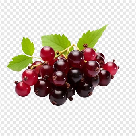 Premium PSD Currant Isolated On Transparent Background