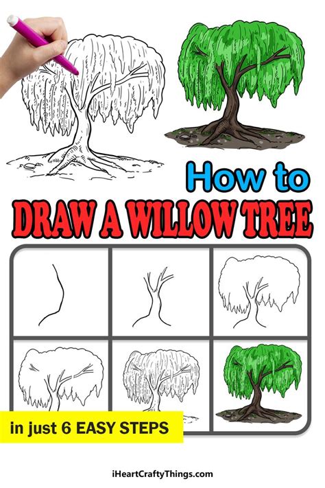 How To Draw A Willow Tree A Step By Step Guide