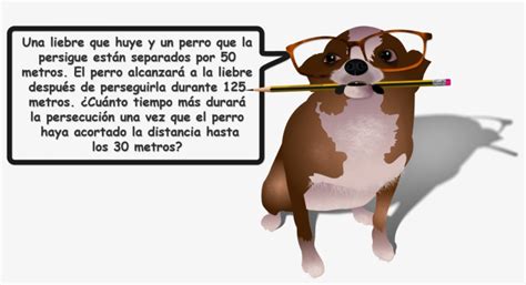 Acertijo De Matemáticas Recreativas Transparent PNG x Free Download on NicePNG